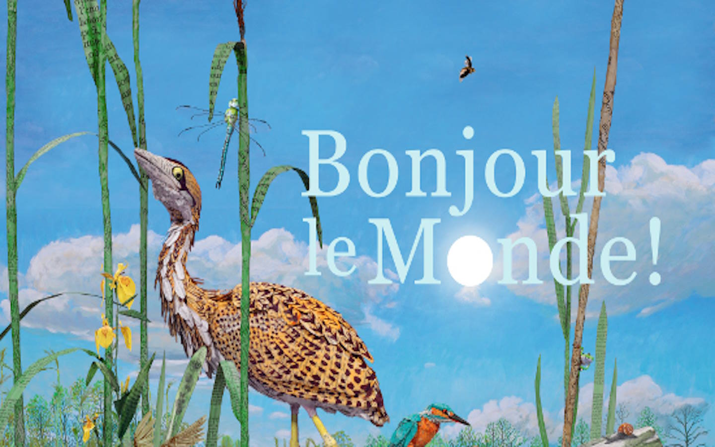 Klima : Bo!bine - Ciné-brioche "Bonjour le monde" à HASPARREN (64 ...