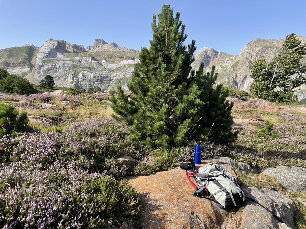 Espace Somport - Piste de luge / bobsleigh à LE SOMPORT (64)
