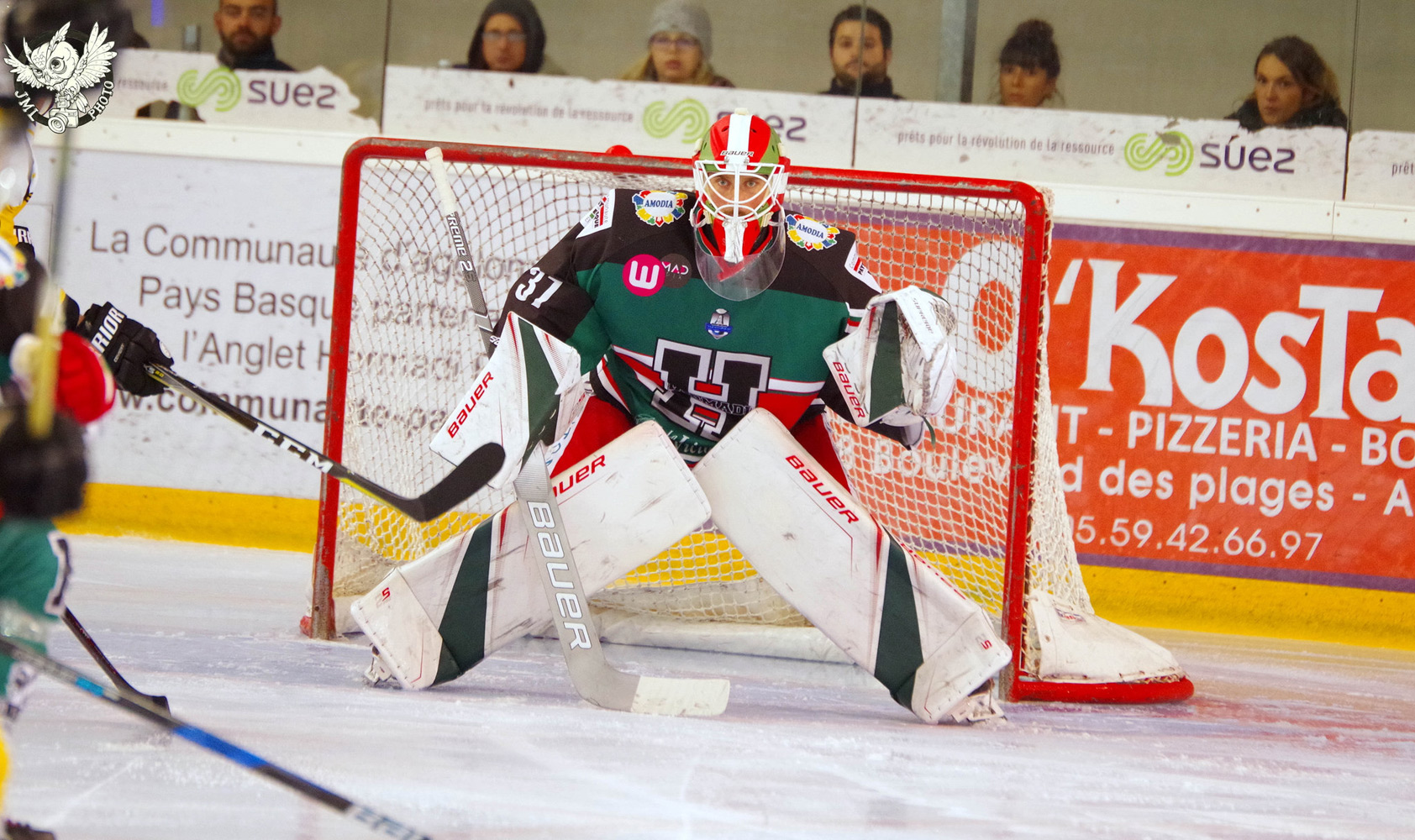 Hockey sur glace : Anglet Hormadi - Cergy-Pontoise in ANGLET (64) | Events