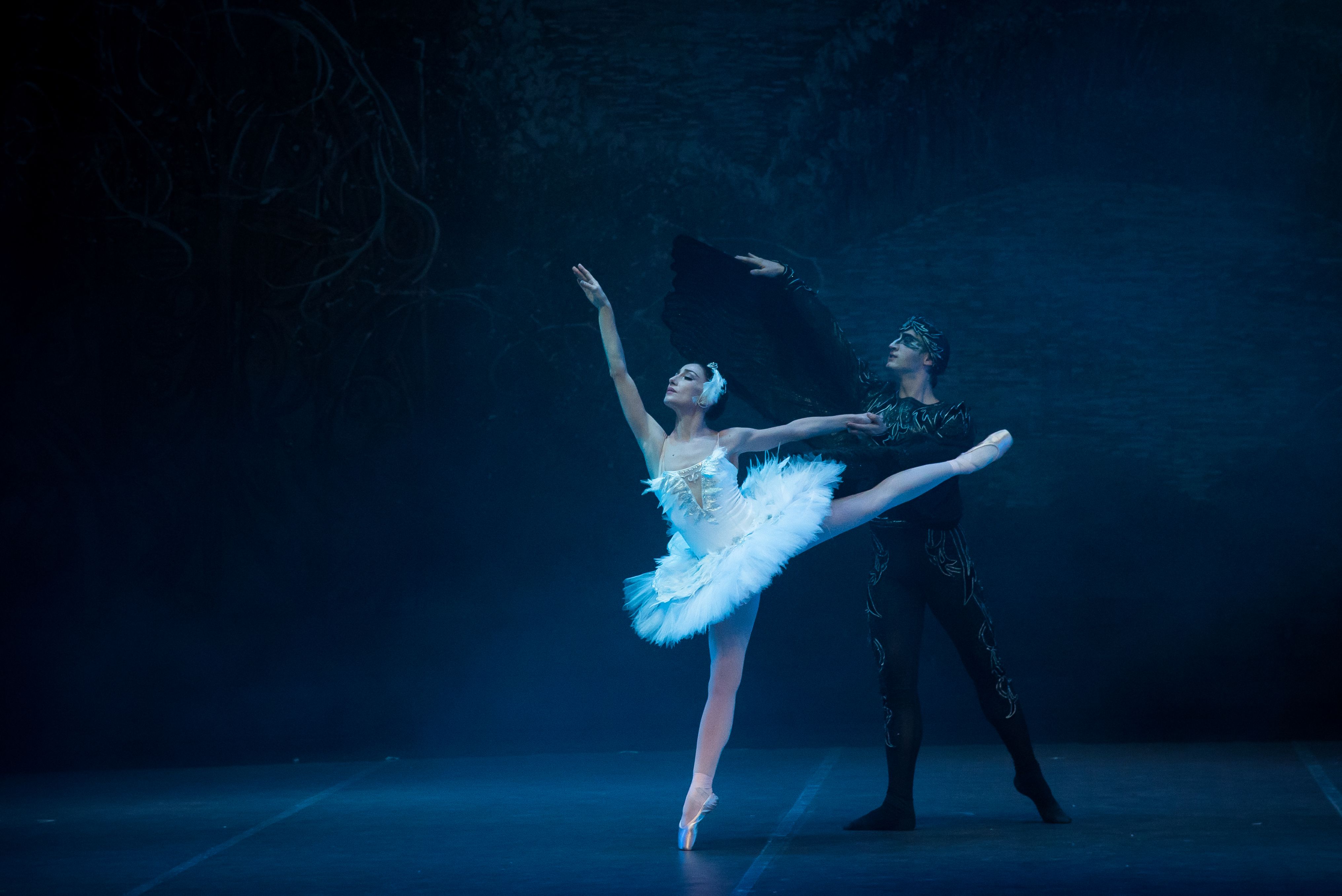 Le Lac des Cygnes - Sofia City Ballet à BIARRITZ (64200)