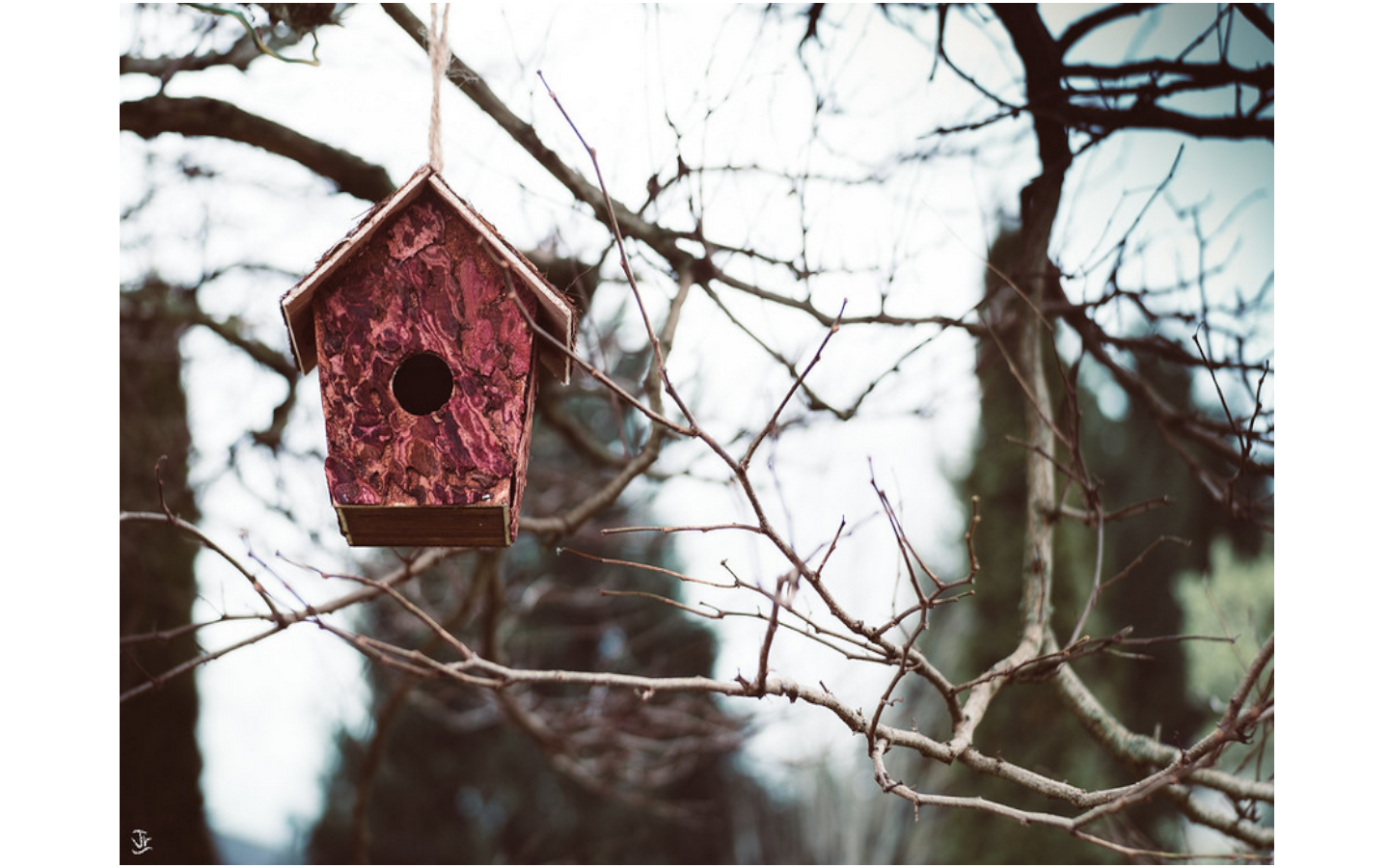 Construction d'un nichoir à mésanges im LARRAU (64) | Ereignisse