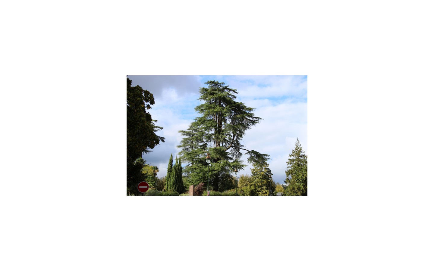 Parc Beaumont le "central Park" palois à PAU (64) | Animations