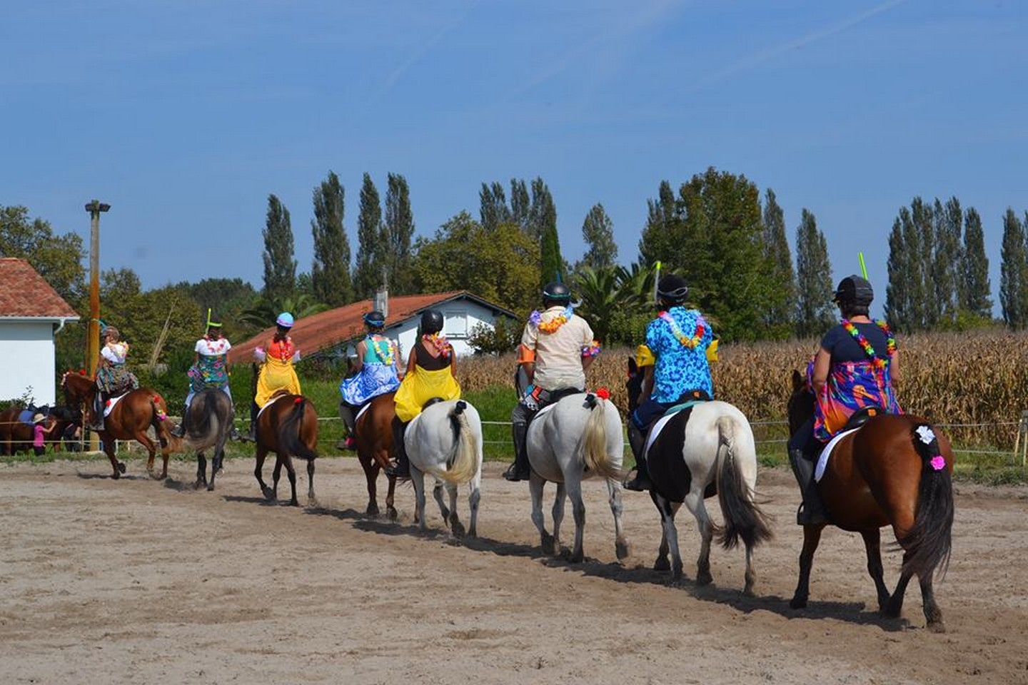 Poney club des îles - Equitation à SAMES (64)