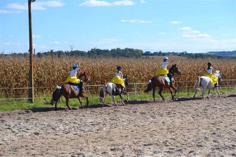 Poney club des îles - Equitation à SAMES (64)