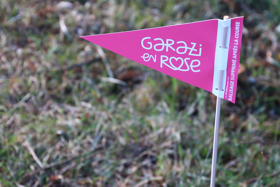 Garazi en rose-inscriptions complètes en SAINT-JEAN-PIED-DE-PORT (64 ...