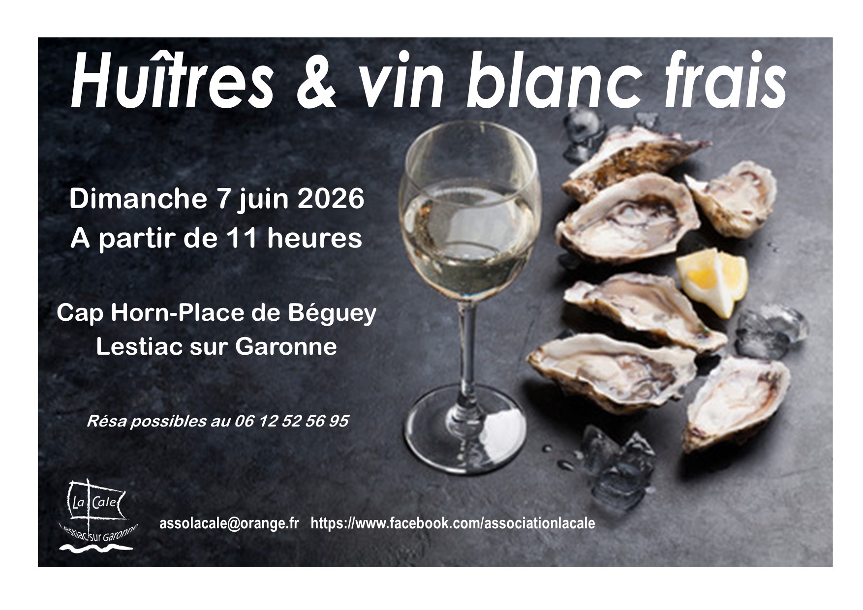 Dégustation huîtres et vin blanc frais - Camping Gironde